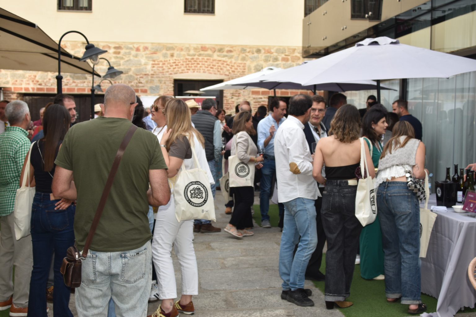 ATARDECER ABULENSE AL RITMO DE VINYTÁVILA WINE FEST 2025 - DOP Cebreros